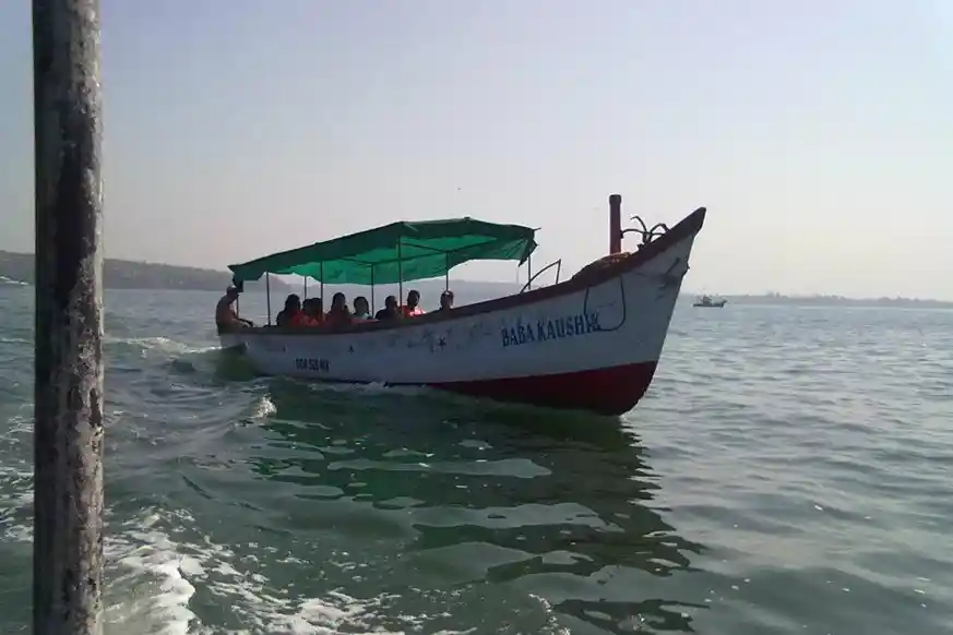 Dolphin trip in north goa